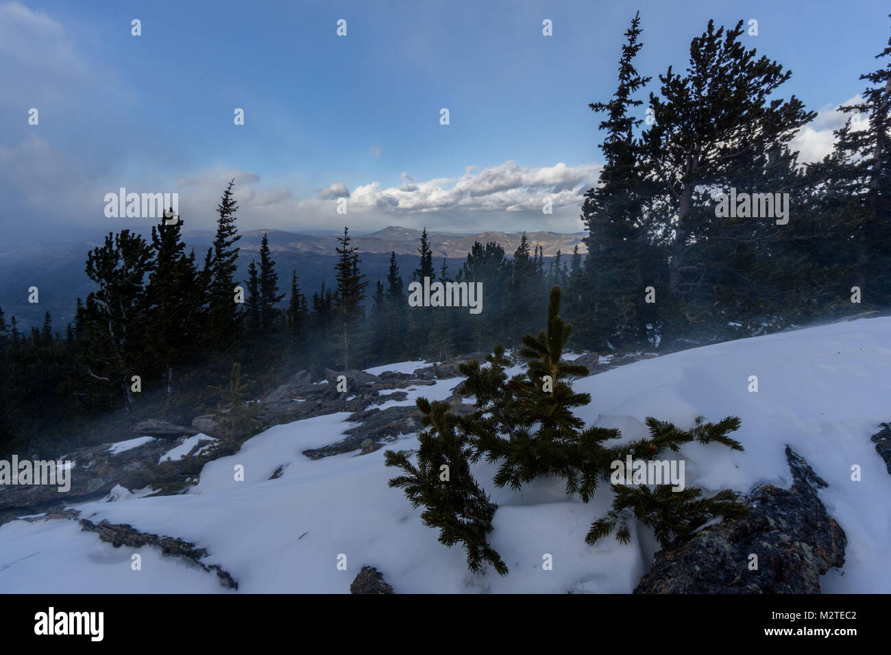 Chief Mountain Trail, near Idaho Sprins, Colorado Stock Photo - Alamy