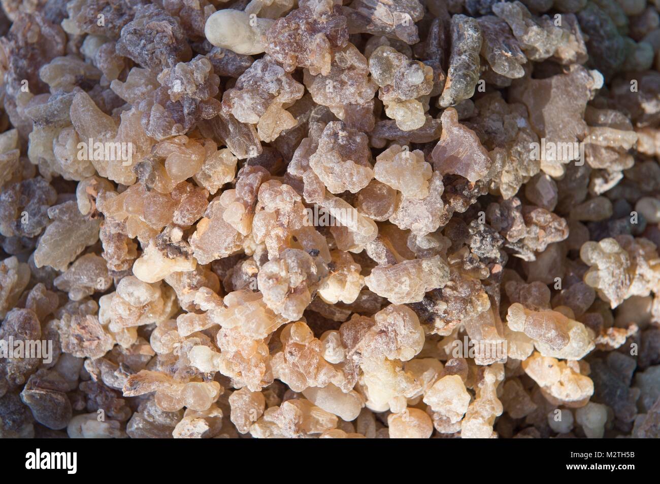 Frankincense trade in oman hi-res stock photography and images - Alamy