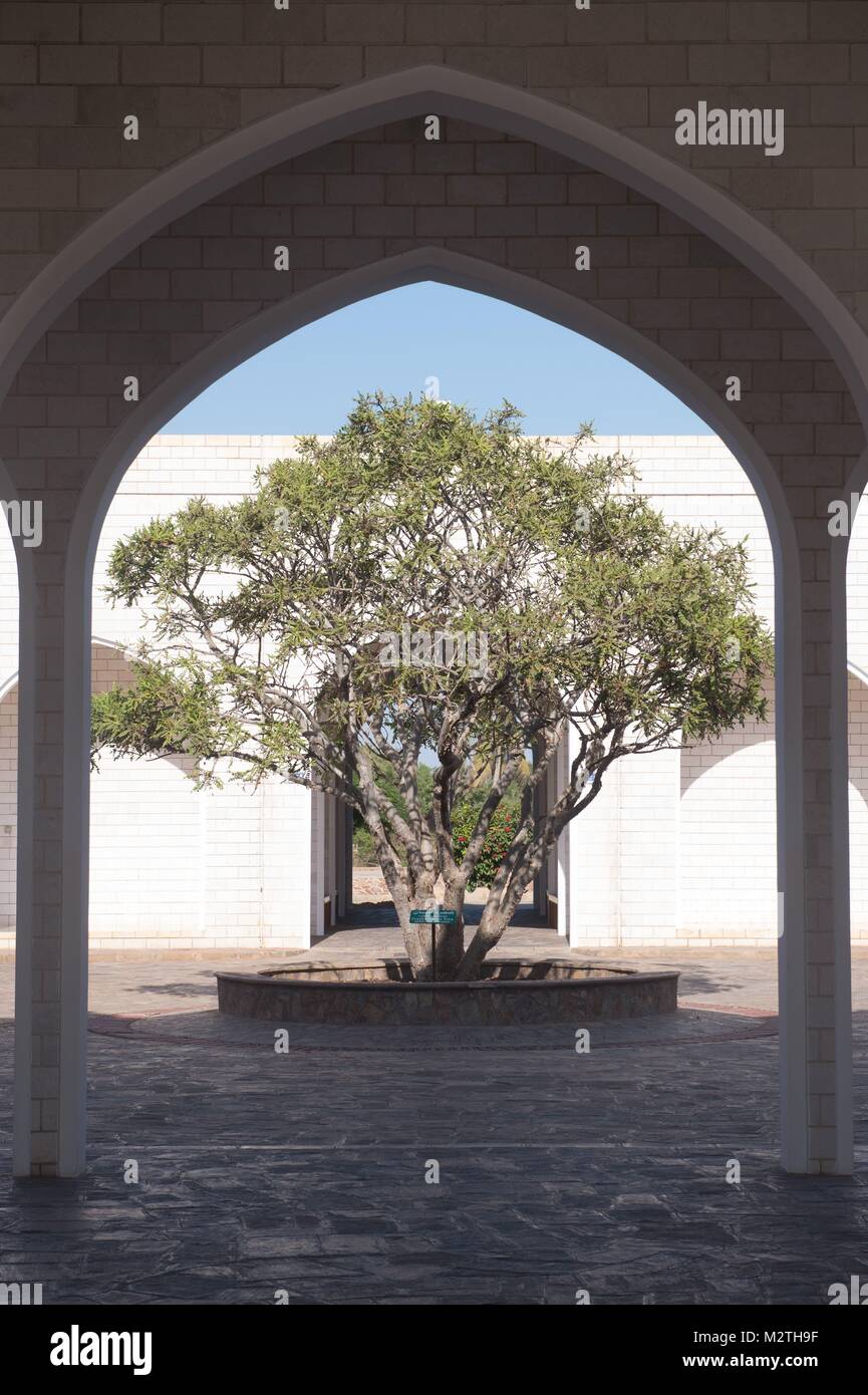 The Museum of the Frankincense Land in Salalah, Oman, on 07.10.2017 ...