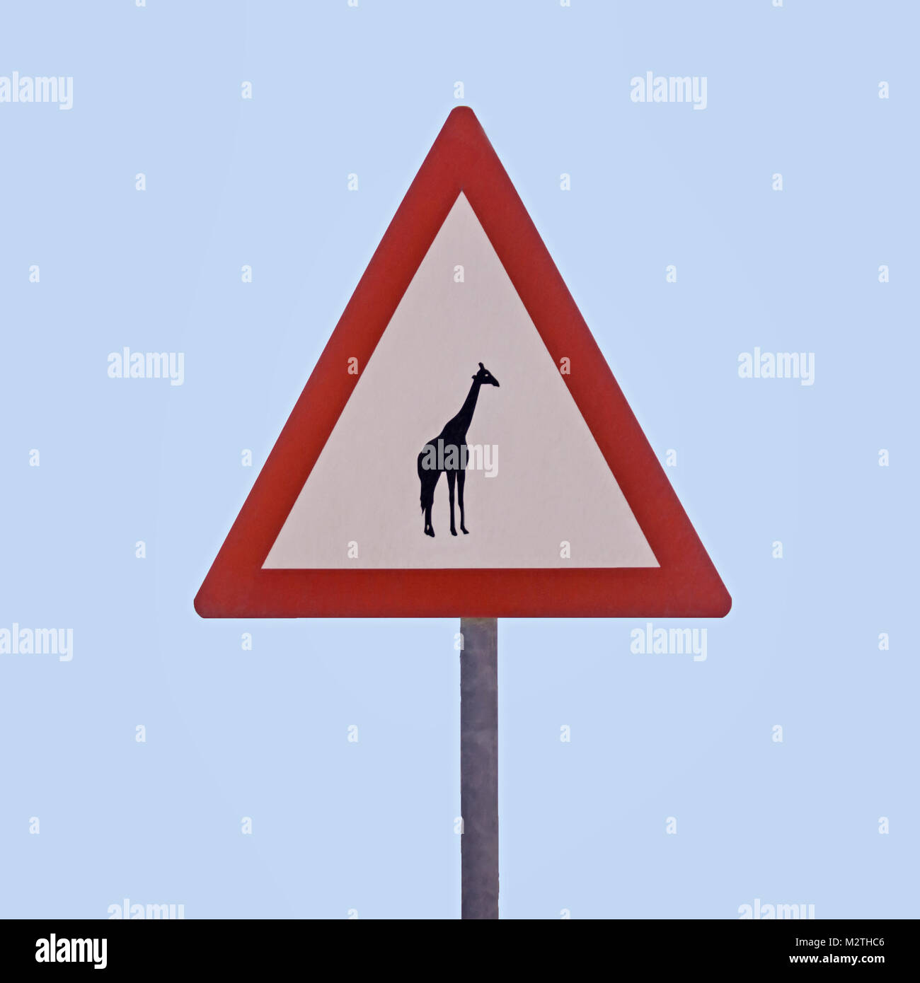 Roadside sign warning of wildlife - in this case, Giraffes Stock Photo ...