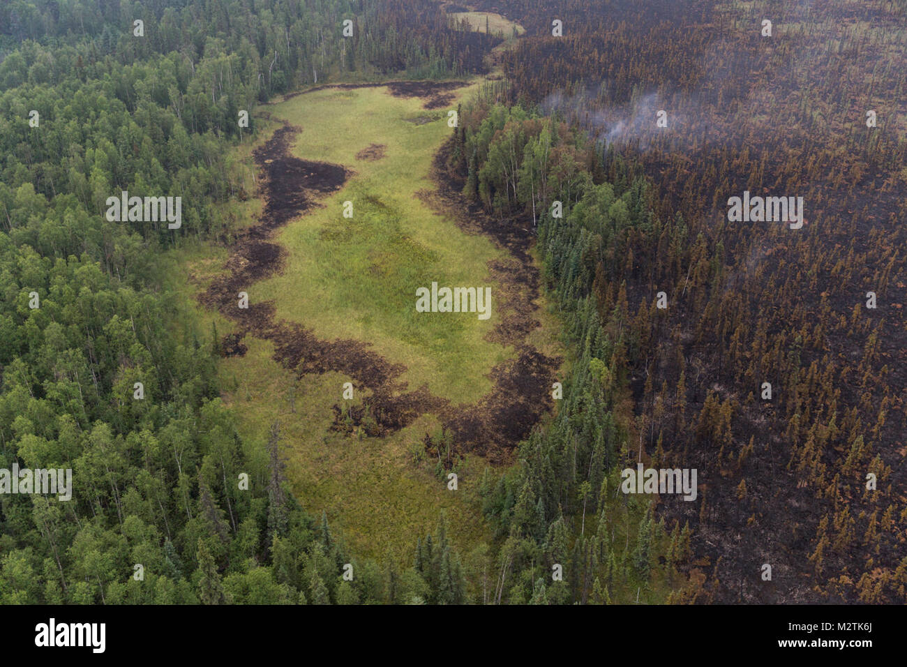 Moose Creek Fire, Denali National Park Stock Photo - Alamy