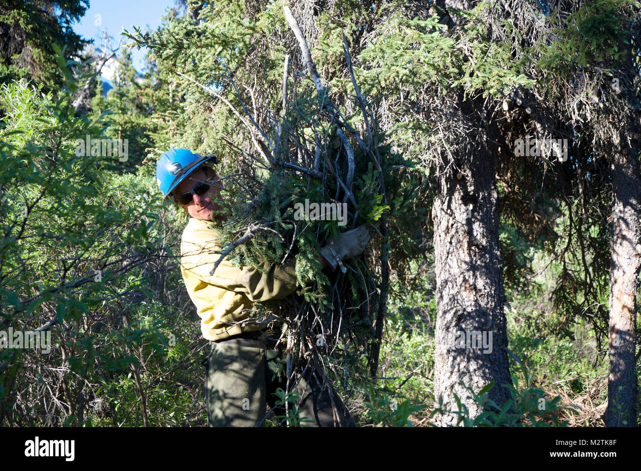 Swamping hi-res stock photography and images - Alamy