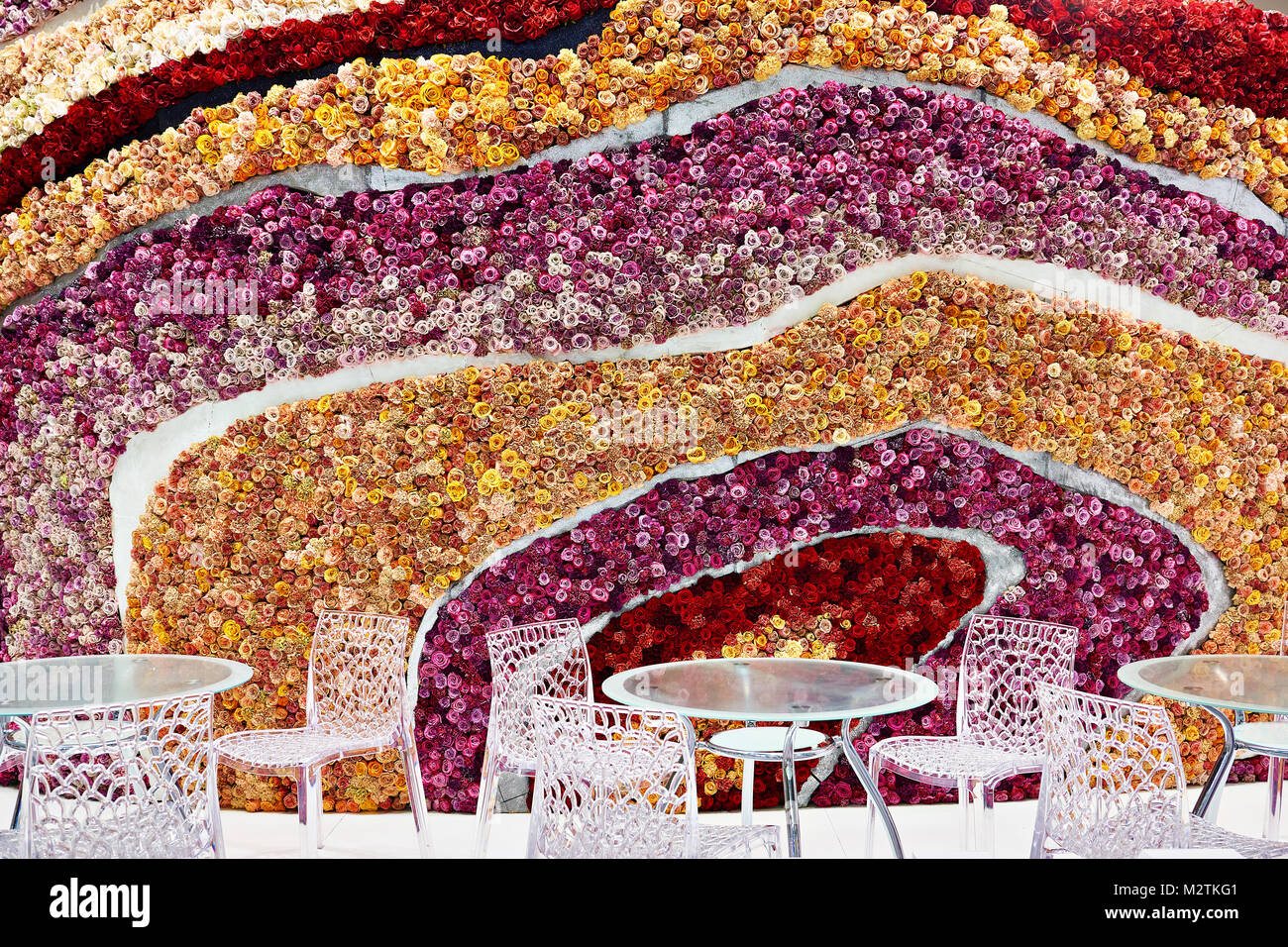 Background of flowers of roses in cafe with tables Stock Photo - Alamy