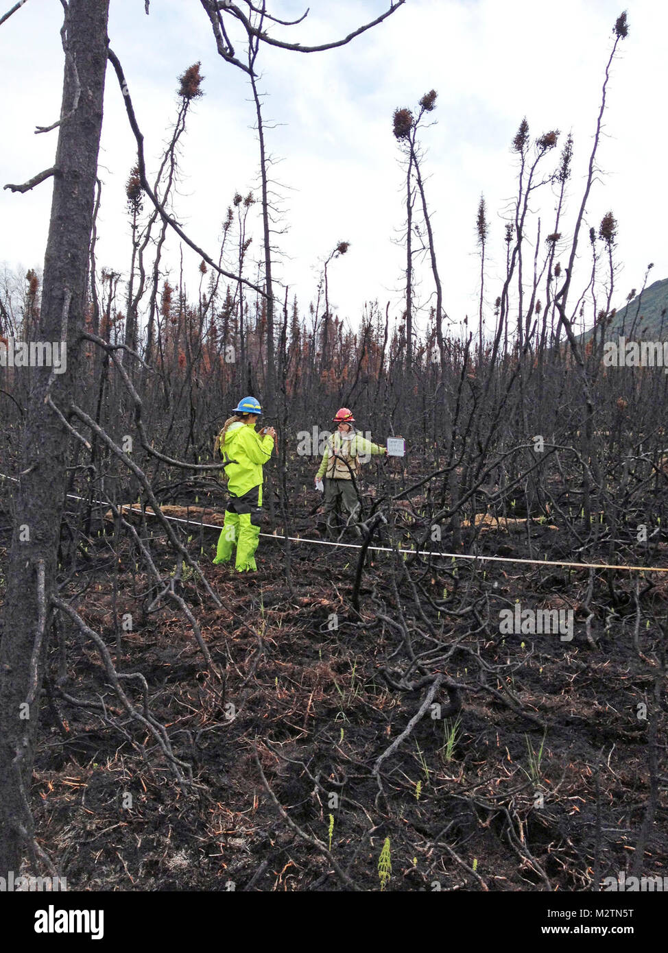 Crown fire hi-res stock photography and images - Alamy