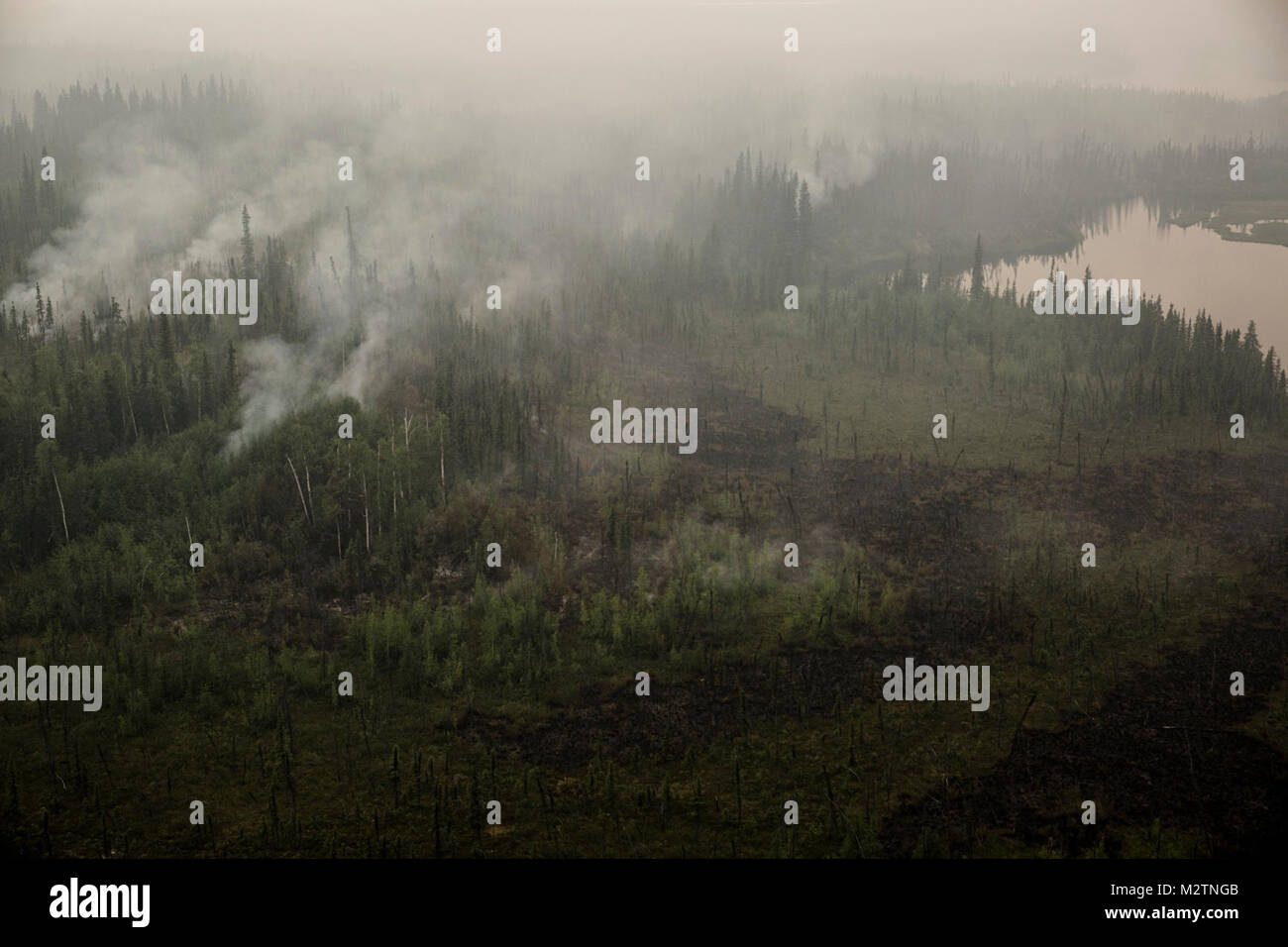Sandless Lake Fire, Denali National Park Stock Photo - Alamy