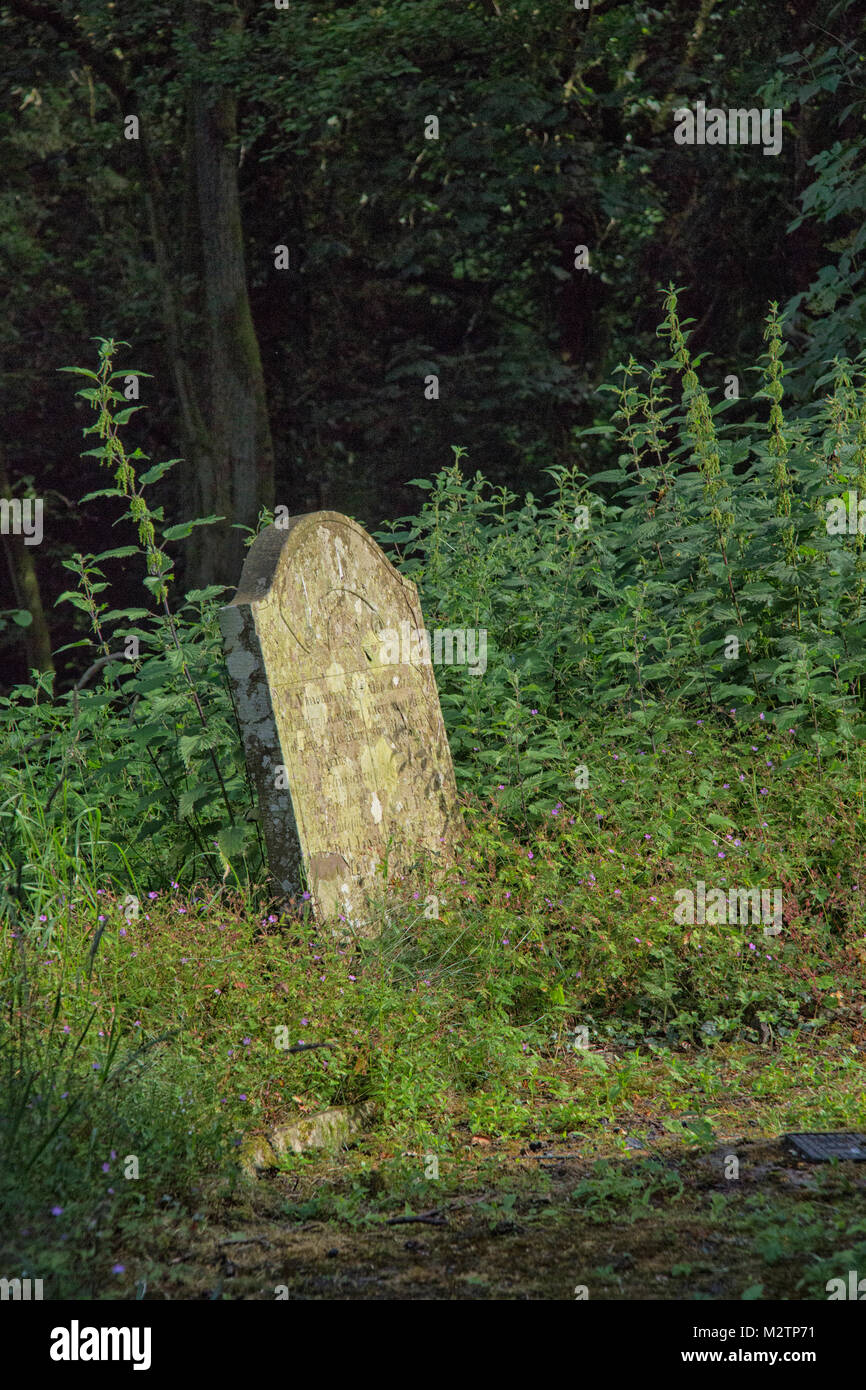 Old and weathered gravestone on an old graveyard in Wales Stock Photo ...