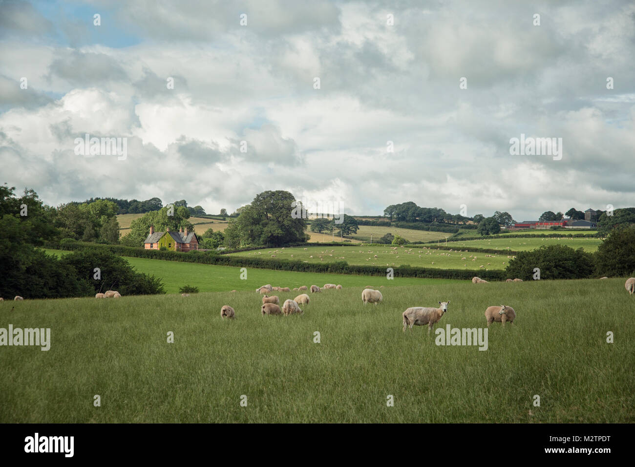 Welsh landscape in Brecon Beacons National Park Stock Photo - Alamy