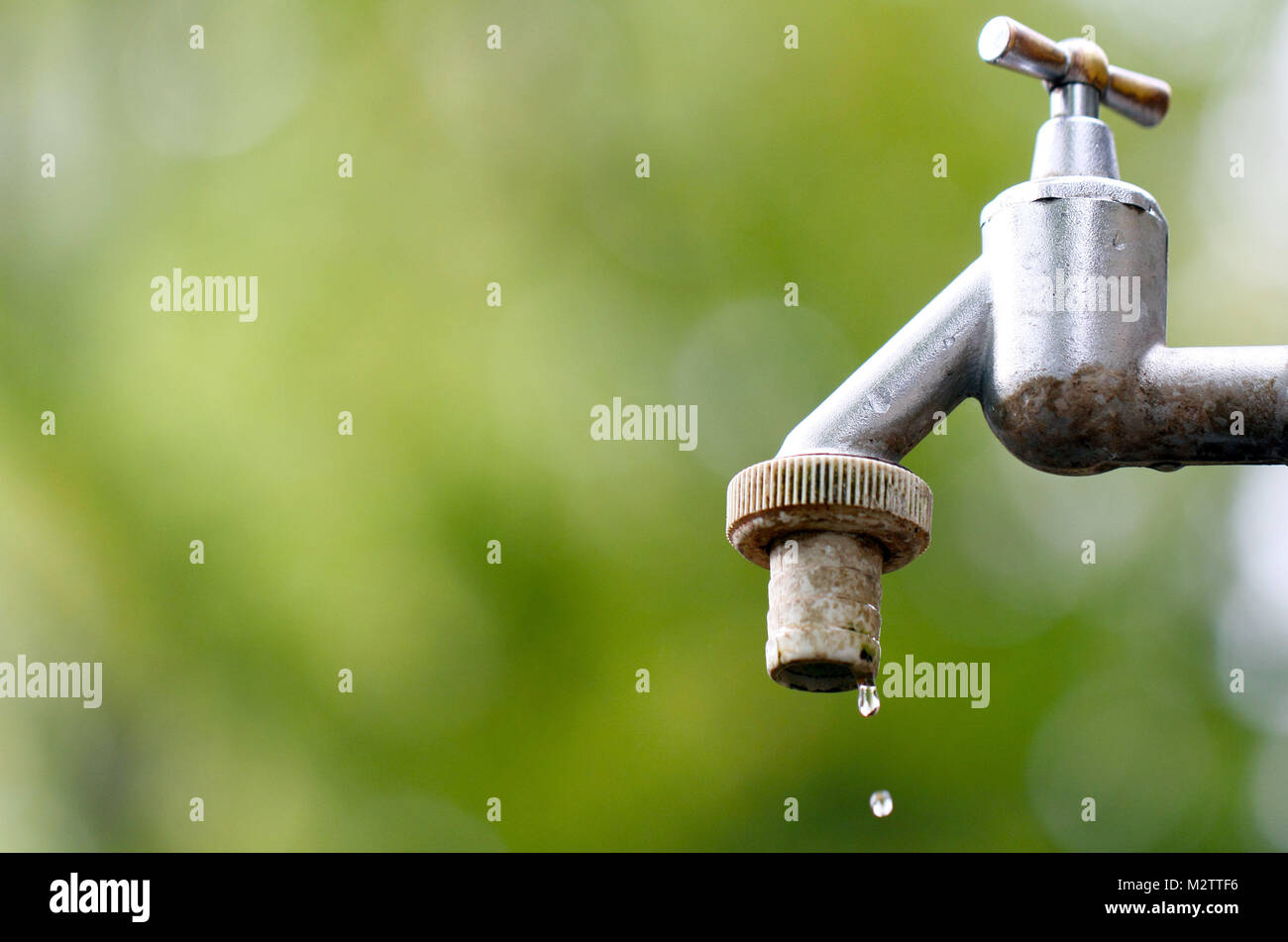 Dripping irrigation hi-res stock photography and images - Alamy