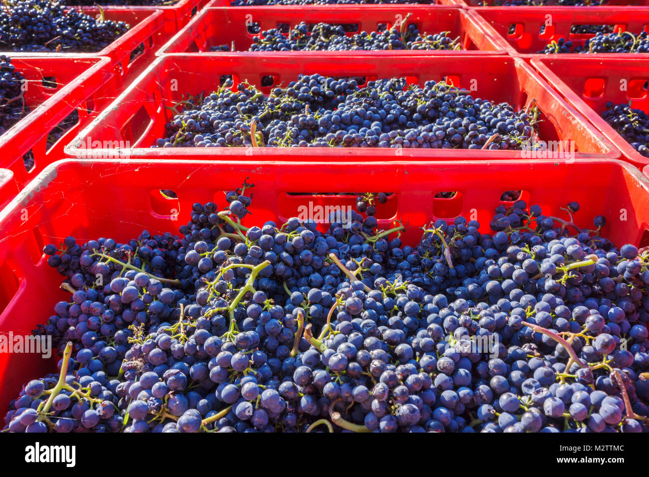 Full boxes hi-res stock photography and images - Alamy