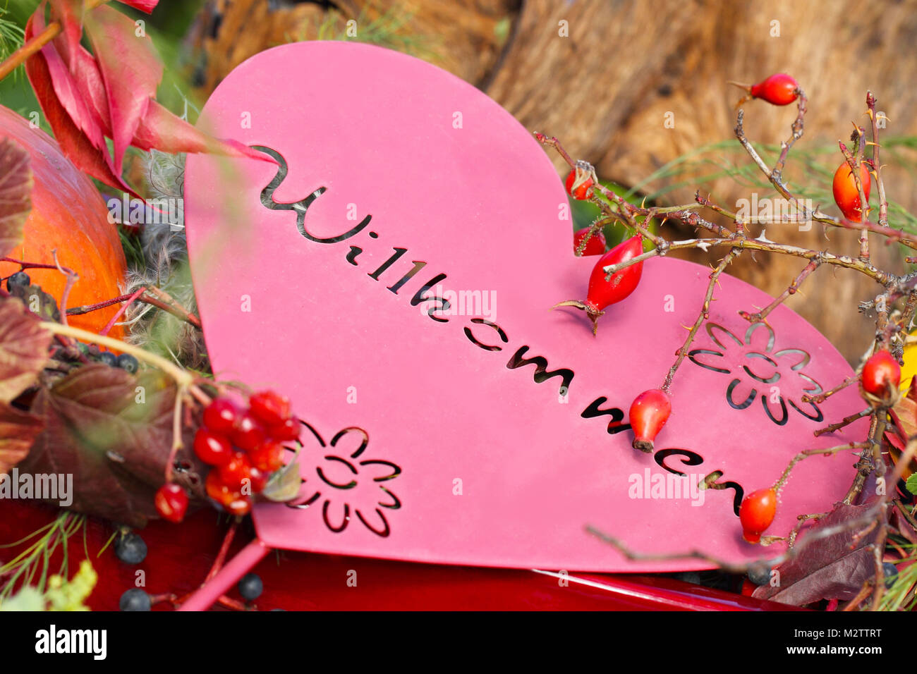 Heart-shaped welcome greeting Stock Photo - Alamy