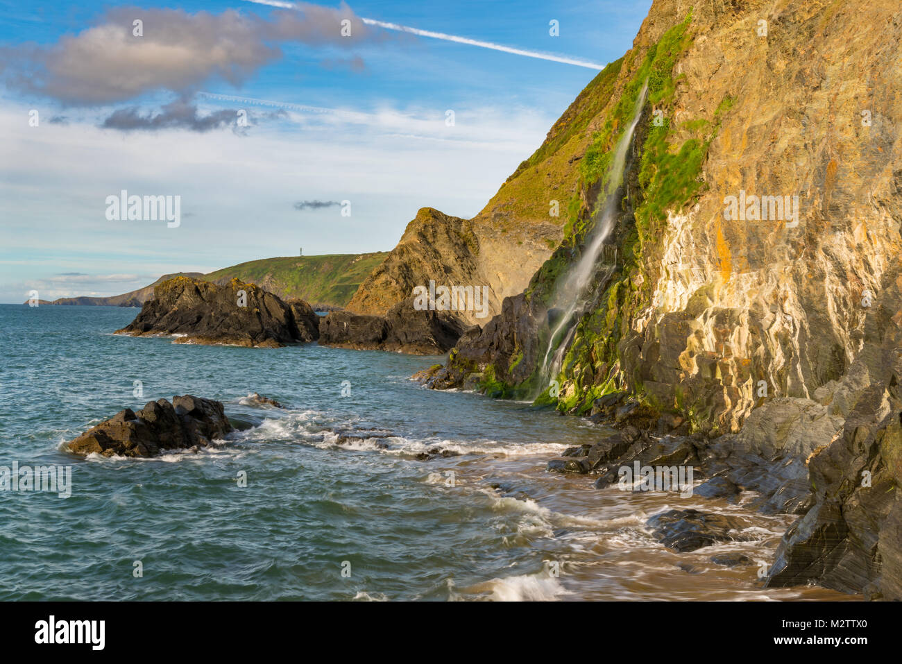 Saith hi-res stock photography and images - Alamy