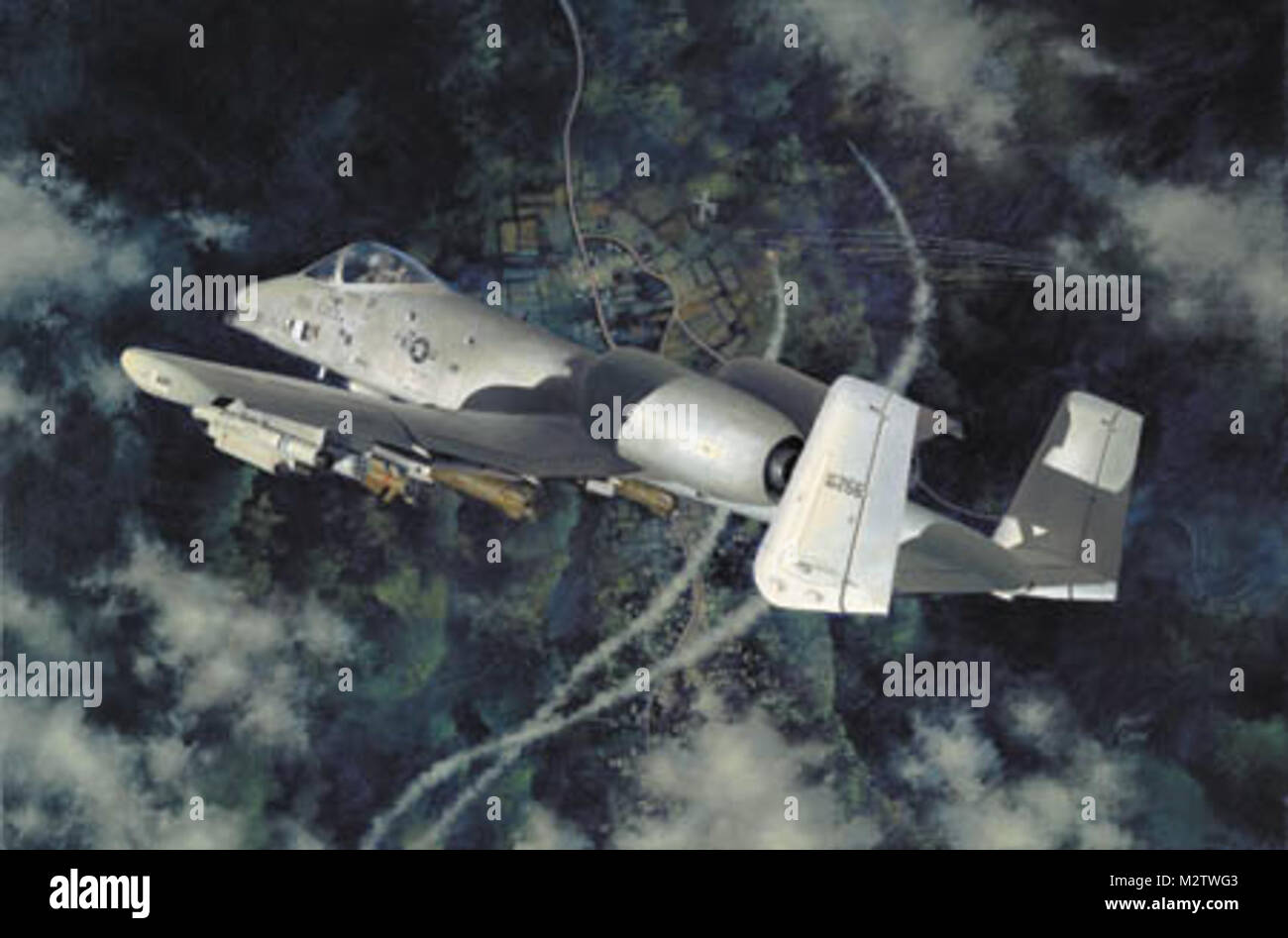 Soldier bees hi-res stock photography and images - Alamy