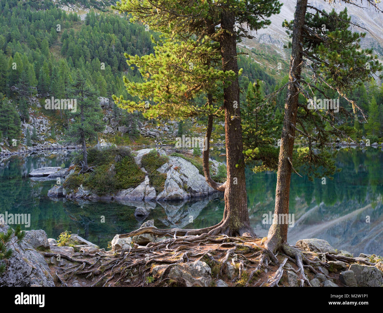 Lago di saoseo lake hi-res stock photography and images - Alamy