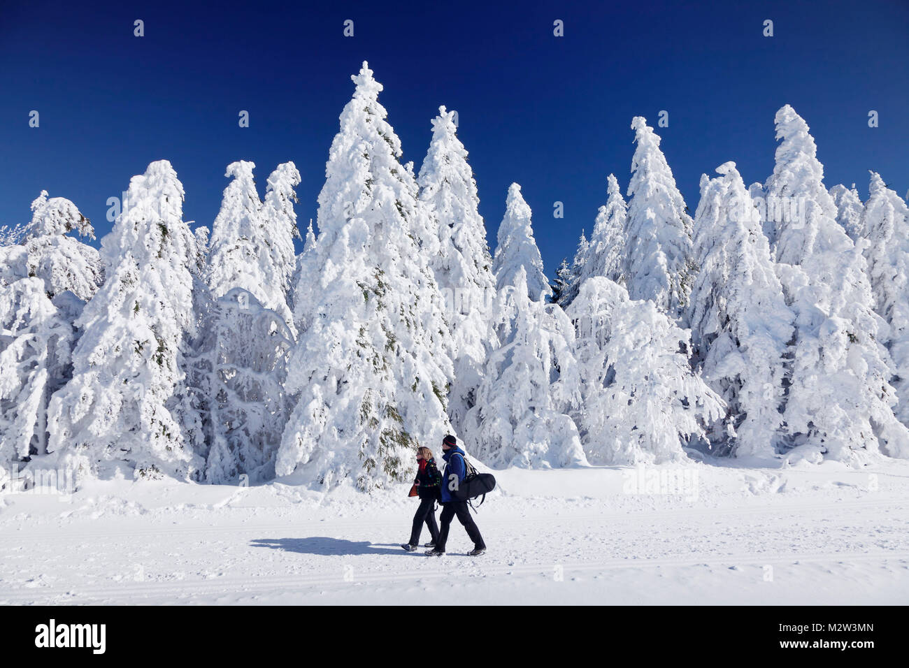 The winter scenery hi-res stock photography and images - Alamy