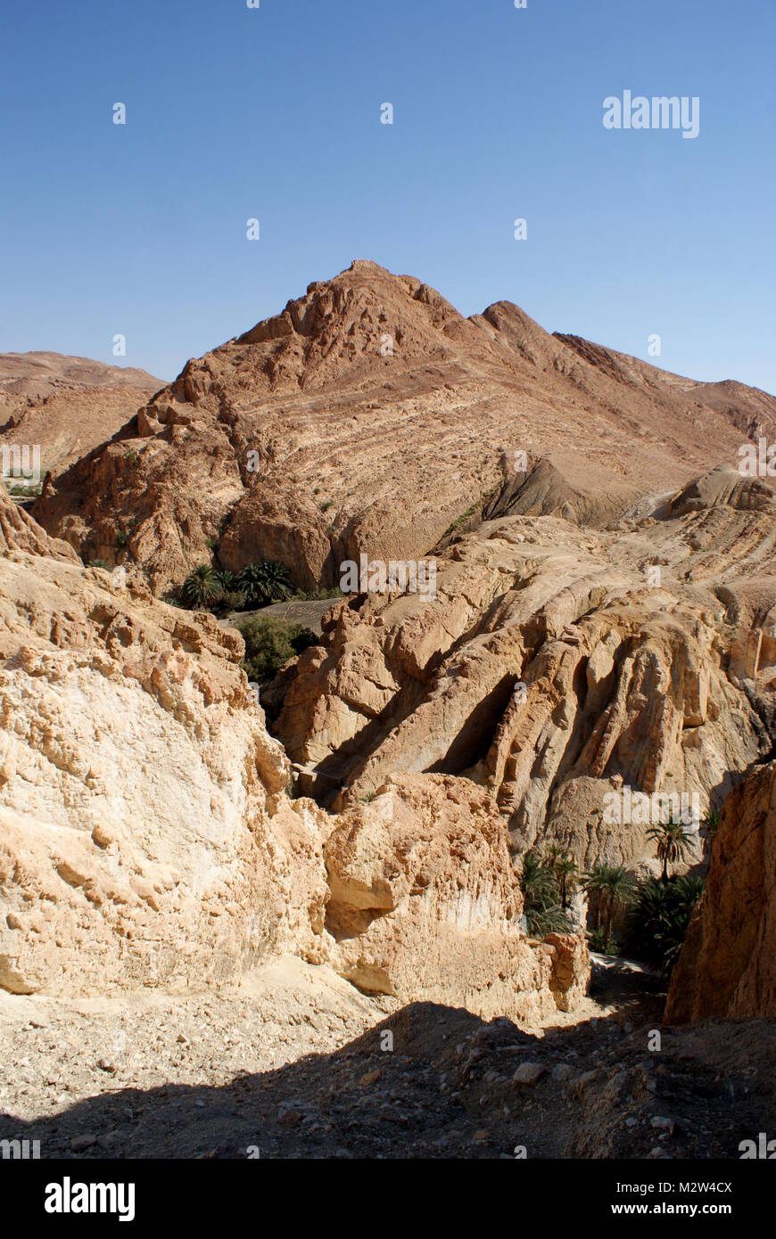 Chebika oasis, southern Tunisia Stock Photo - Alamy