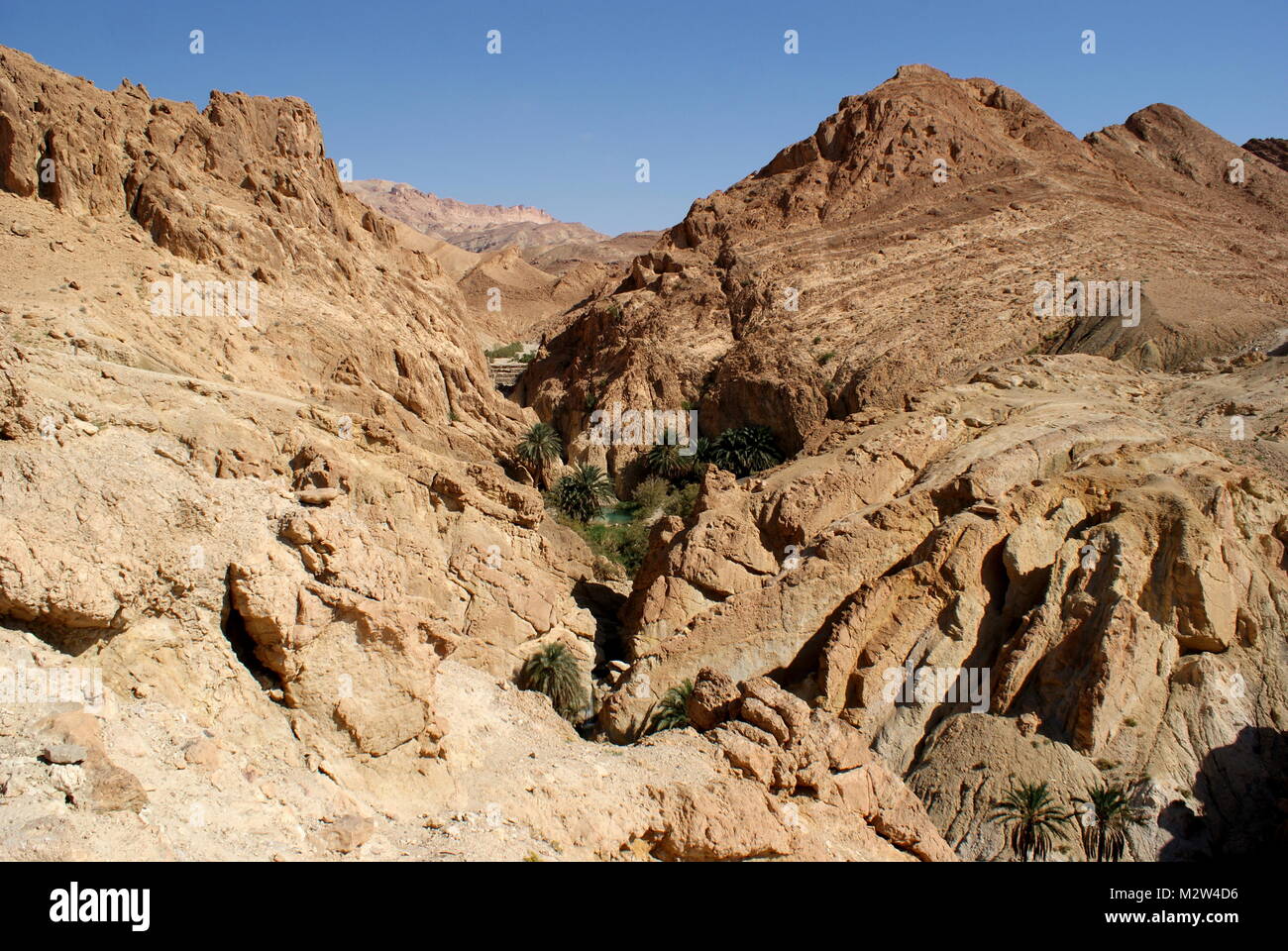 Tunisian oasis hi-res stock photography and images - Alamy