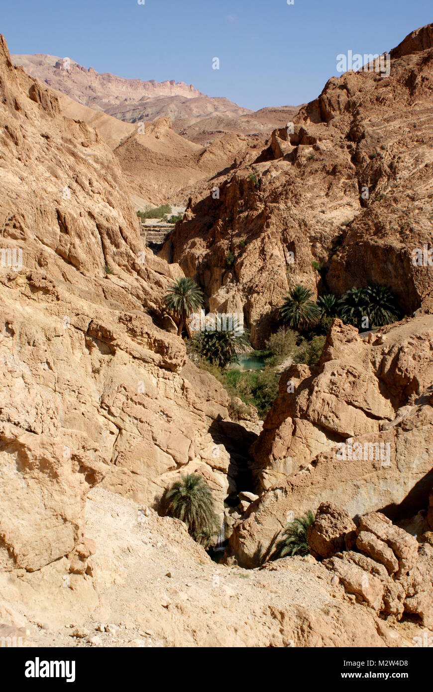 Chebika oasis, southern Tunisia Stock Photo - Alamy
