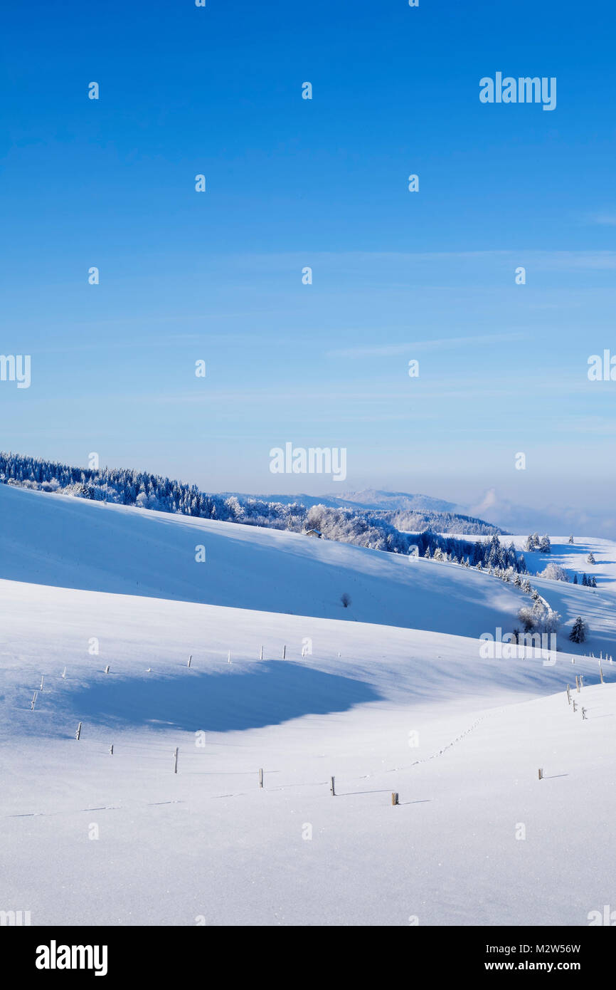 Plain black hi-res stock photography and images - Alamy