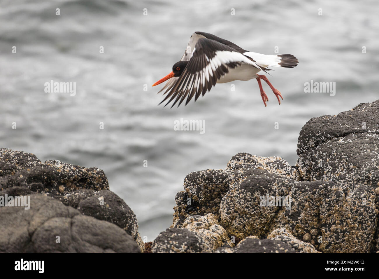 Faeroese islands hi-res stock photography and images - Alamy