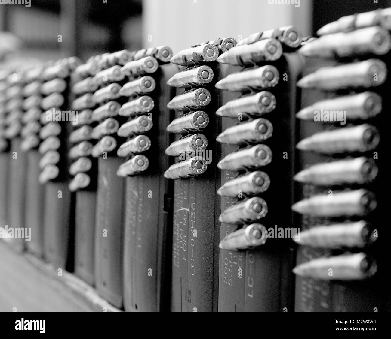 Soldiers of the 316th ESC fired the M249 Squad Automatic Weapon at a ...