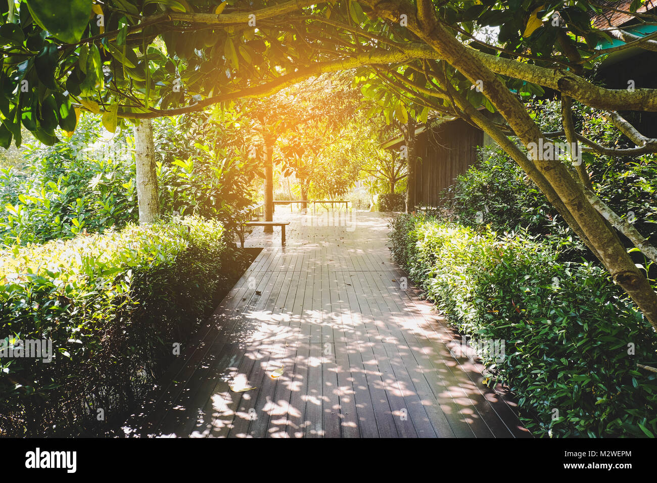 Lonely walk way in summer park Stock Photo - Alamy