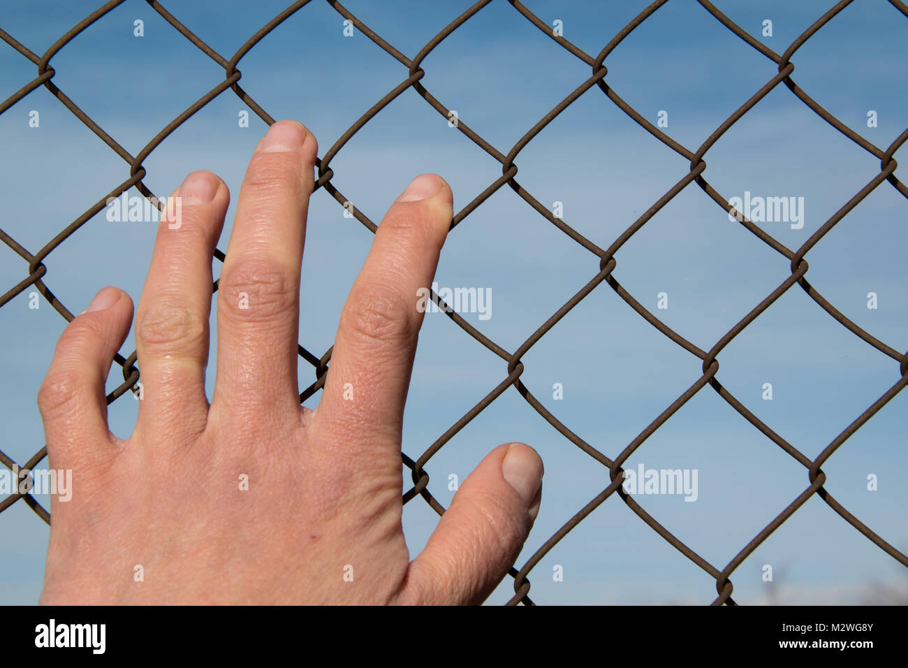Human hand holding the metal net, blue sky background and space for ...