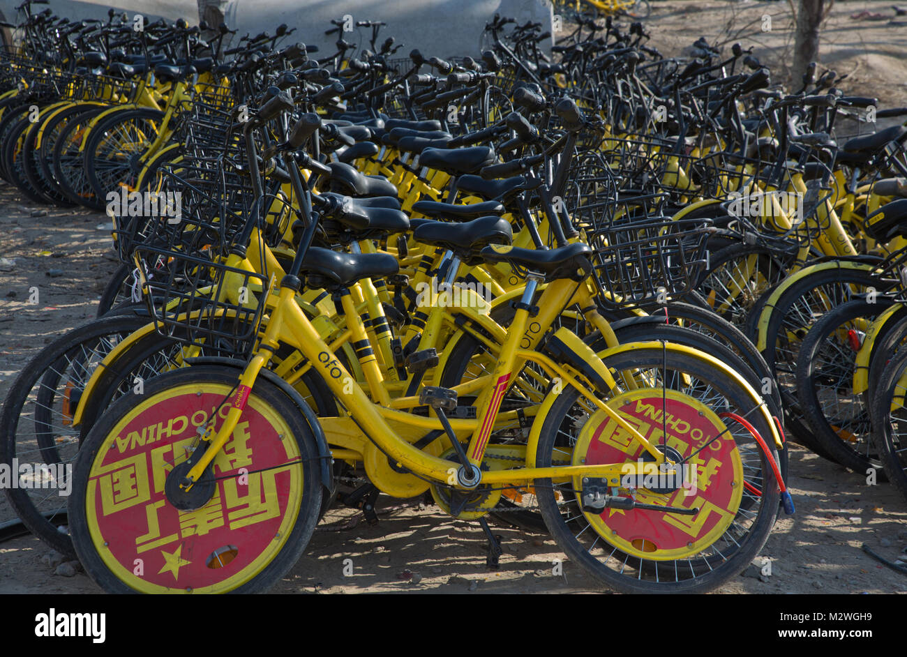 Rental Bikes in Beijing China Stock Photo - Alamy