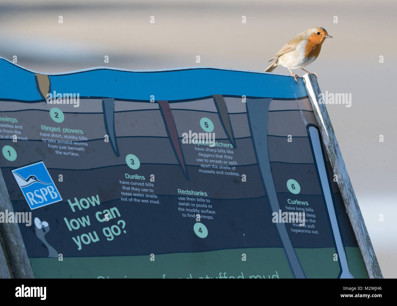 Rspb sign hi-res stock photography and images - Alamy