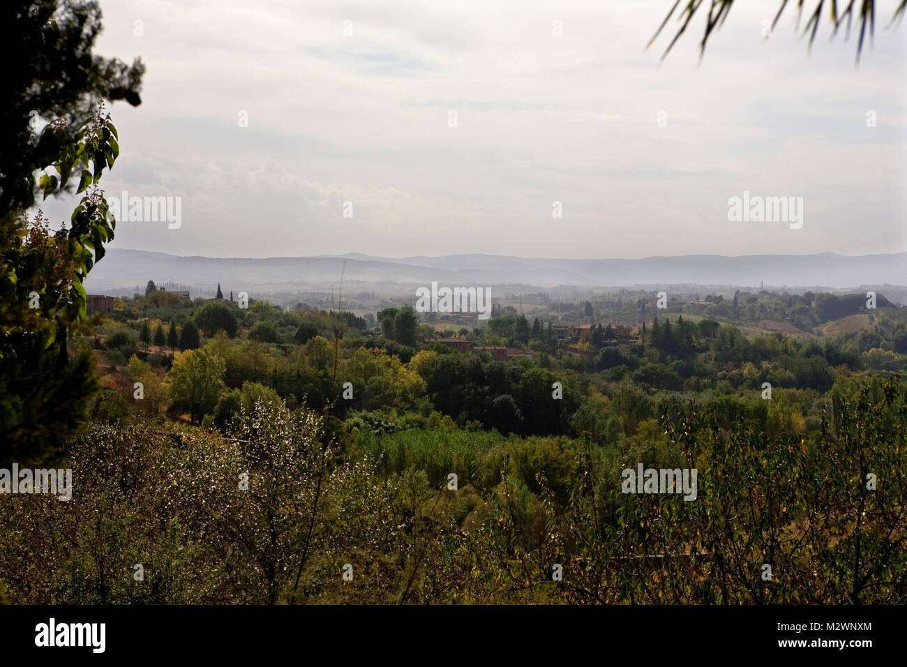 University garden siena italy hi-res stock photography and images - Alamy