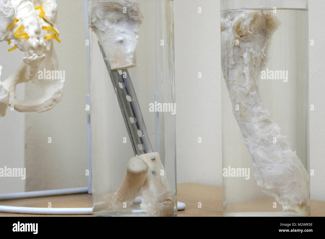 Lab grown hi-res stock photography and images - Alamy