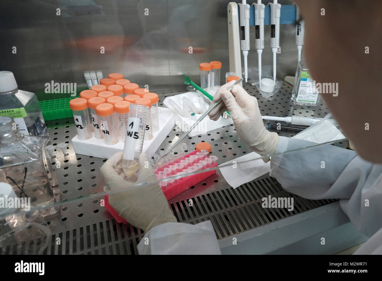 Lab grown hi-res stock photography and images - Alamy