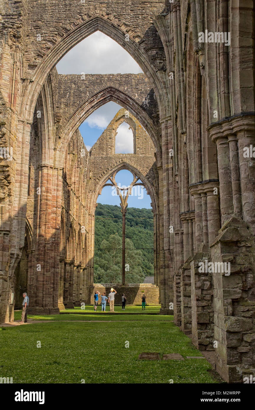 Tintern Abbey in the Wye valley in Wales, UK Stock Photo - Alamy