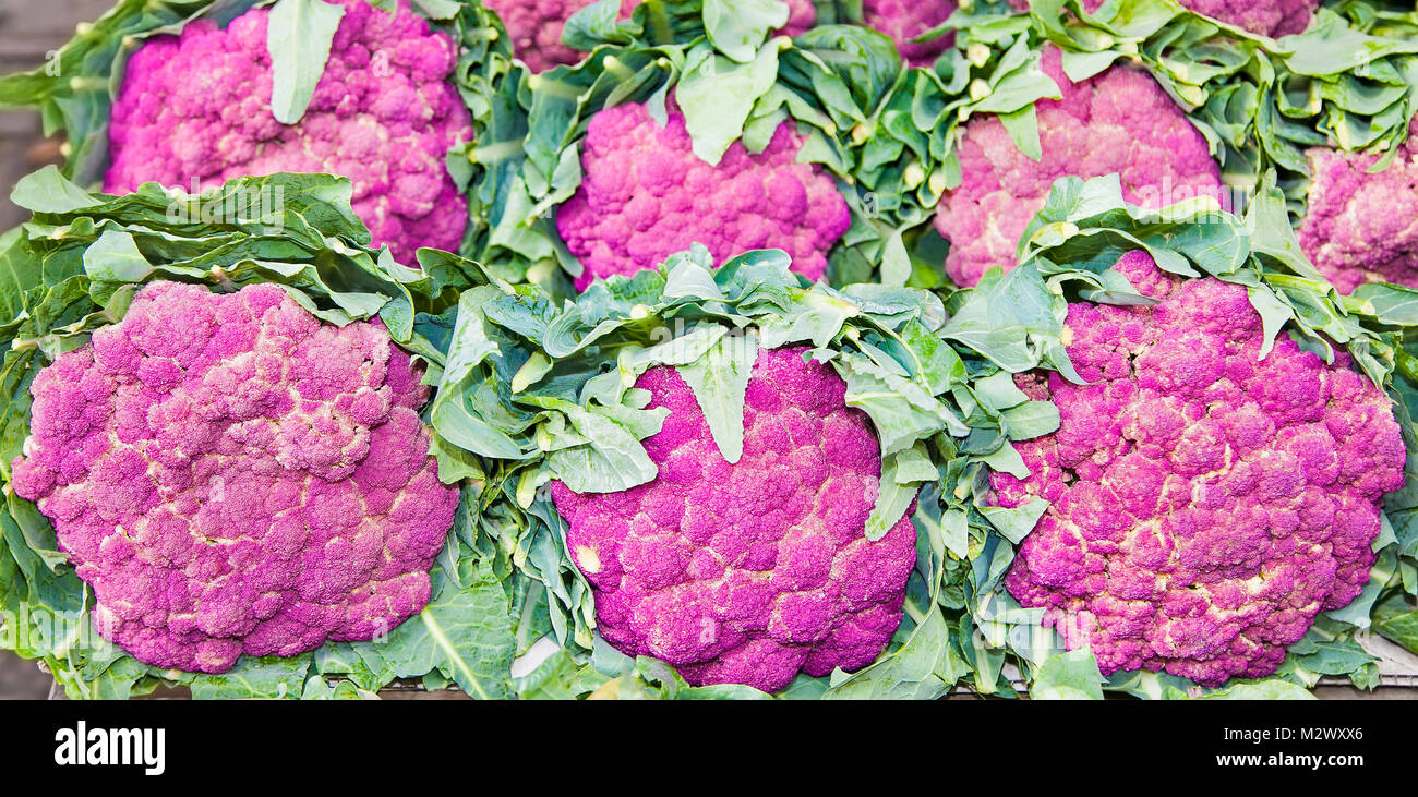 Group of fresh purple cauliflower on vegetable market, Sicily Stock ...