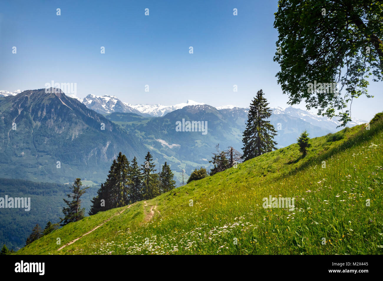 beautiful scenic Alps mountain landscape and green field with blue sky ...