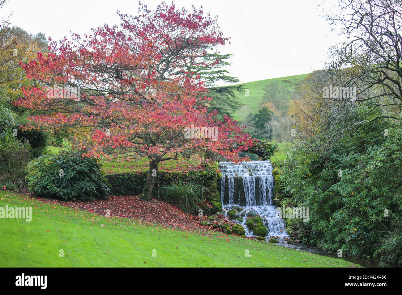 Littlebredy High Resolution Stock Photography and Images - Alamy