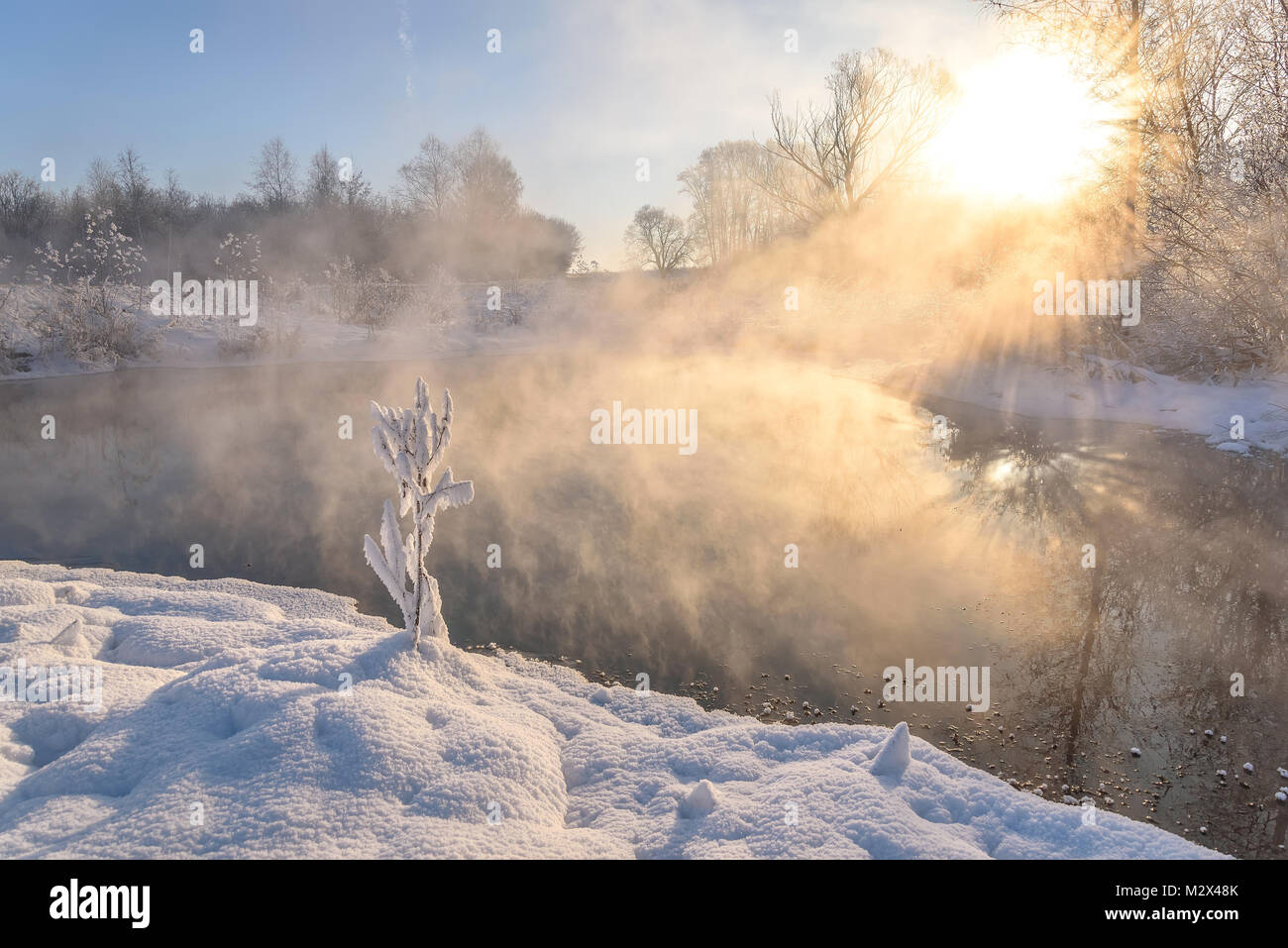 Bright winter sun with rays, snowdrifts, grass and trees in the ...