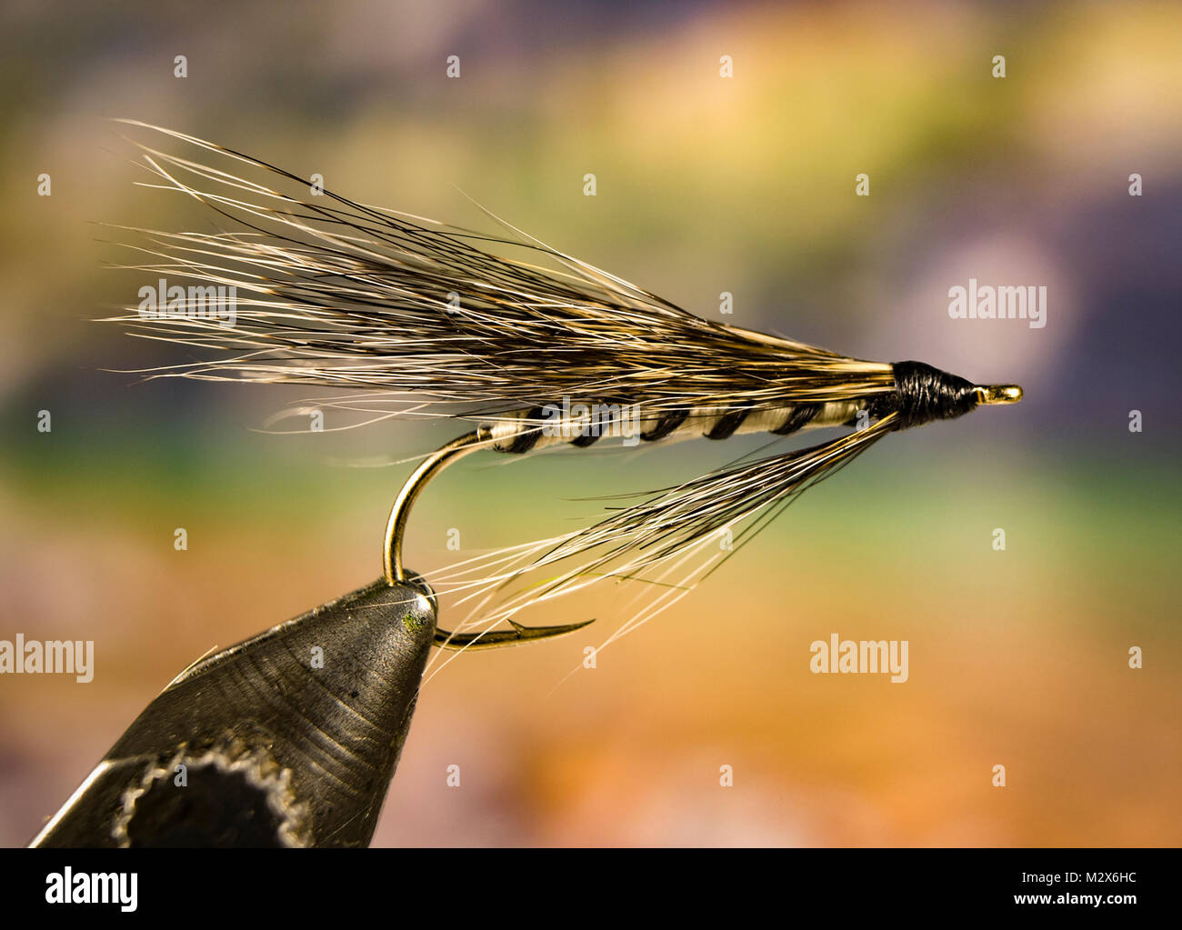 Traditional streamer pattern hi-res stock photography and images - Alamy