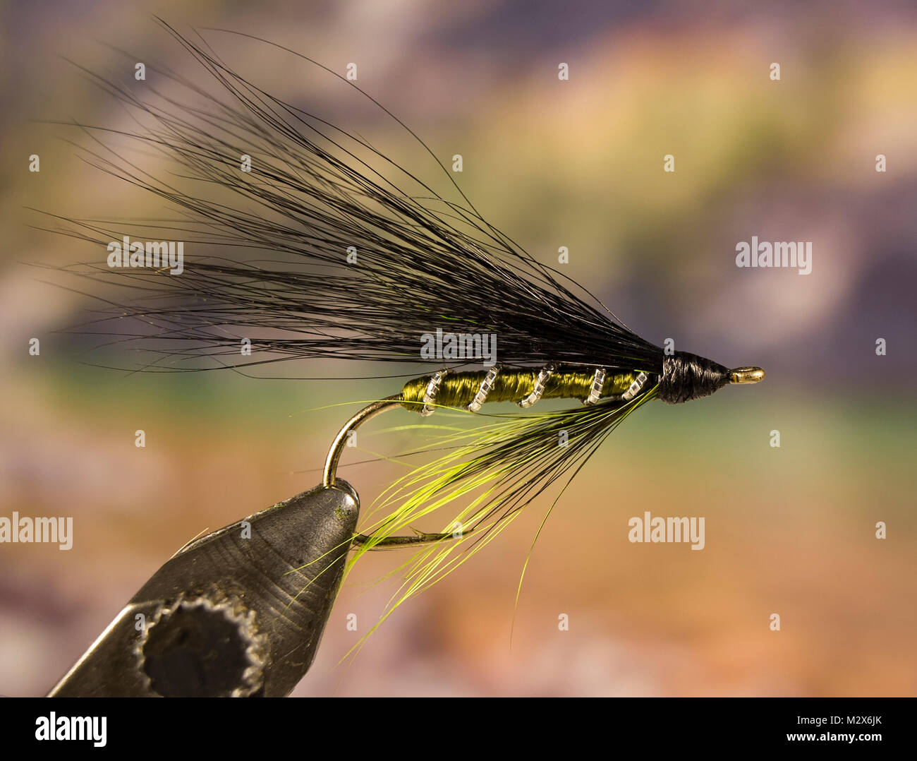 Green and black squirrel tail streamer hi-res stock photography and images - Alamy