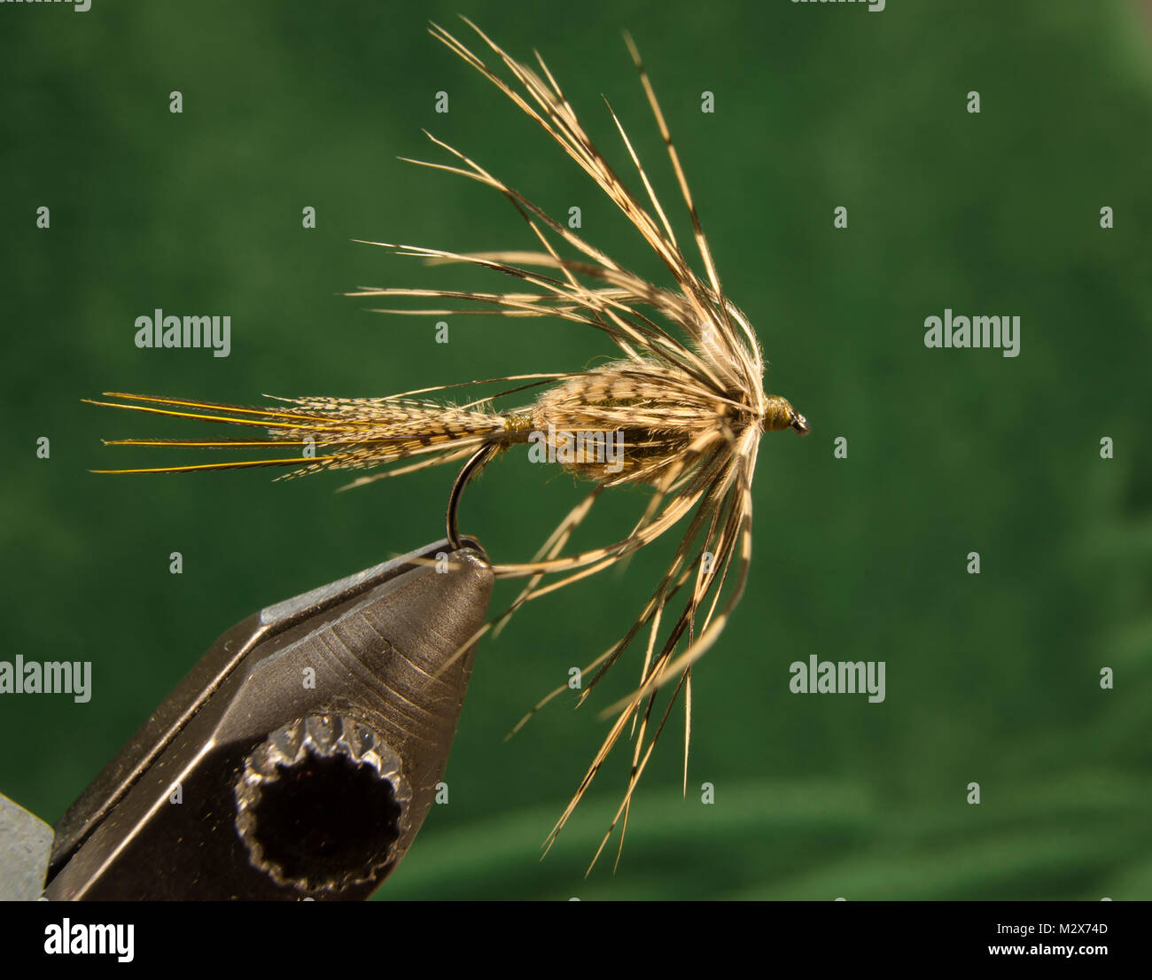 Mouche de peche hi-res stock photography and images - Alamy
