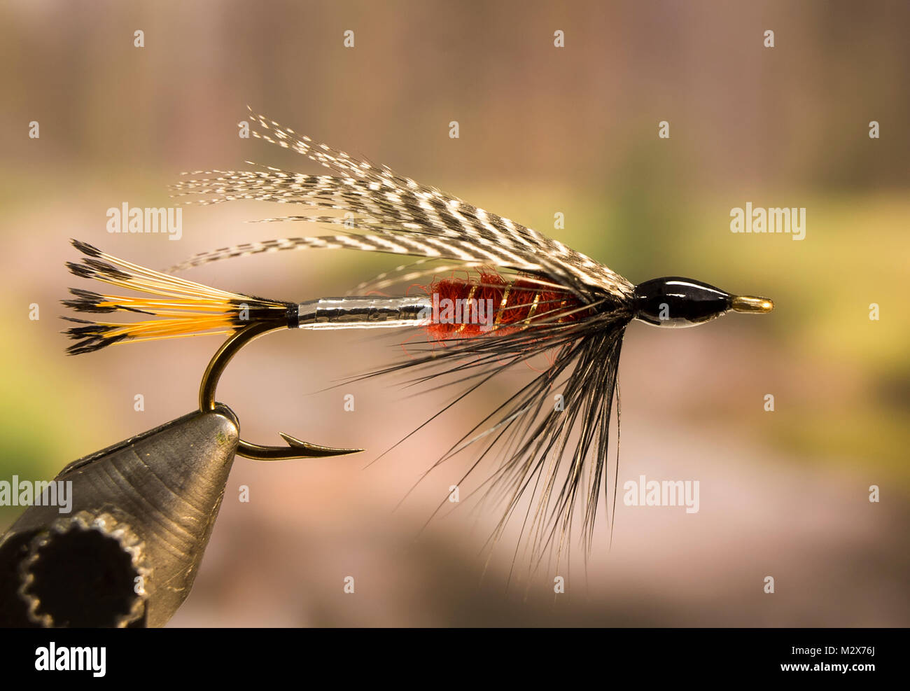 Peter Ross Streamer fishing fly Stock Photo - Alamy