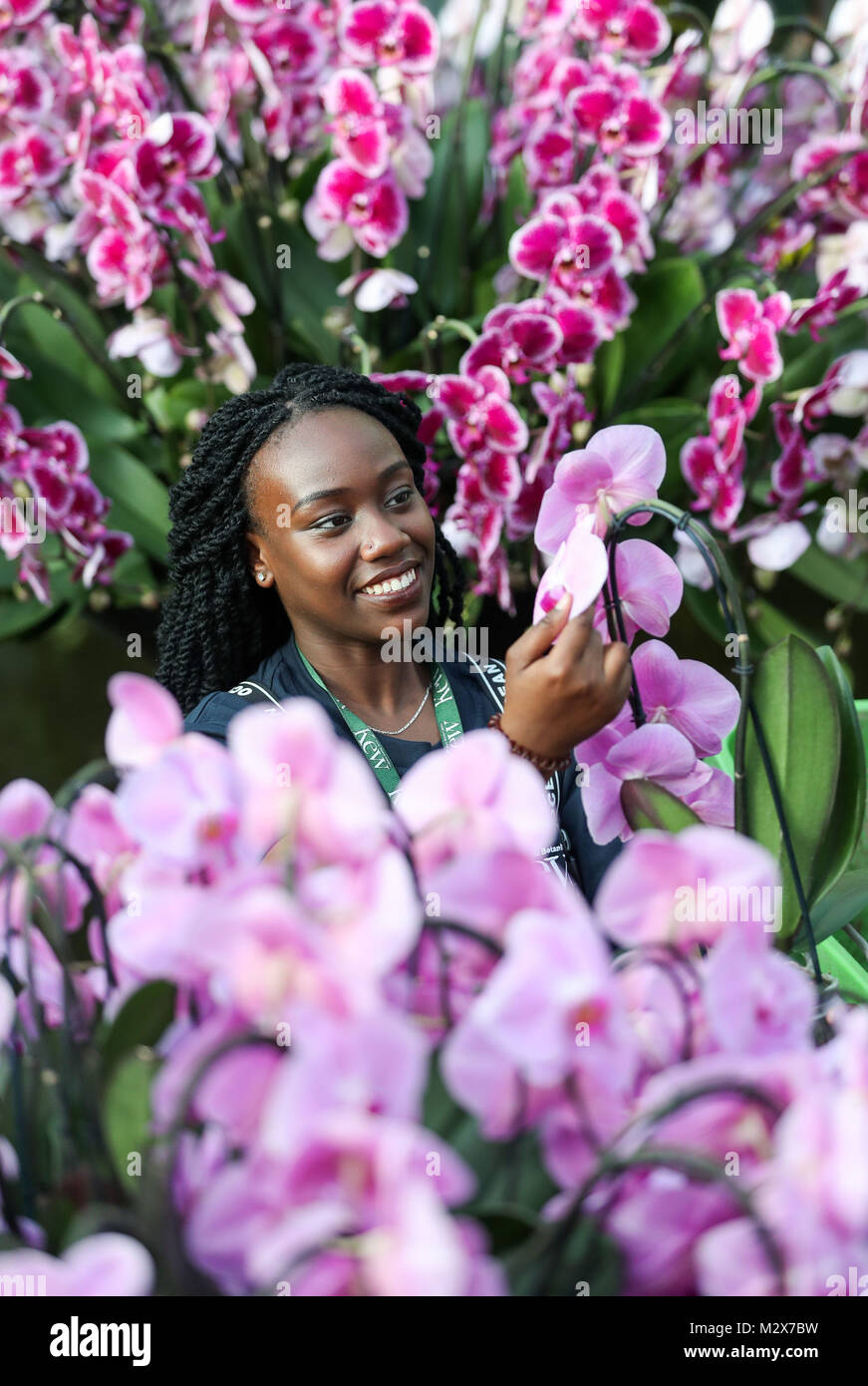 Apprentice Yasmin Akrofi-Rollock inspects an orchid as she helps put ...