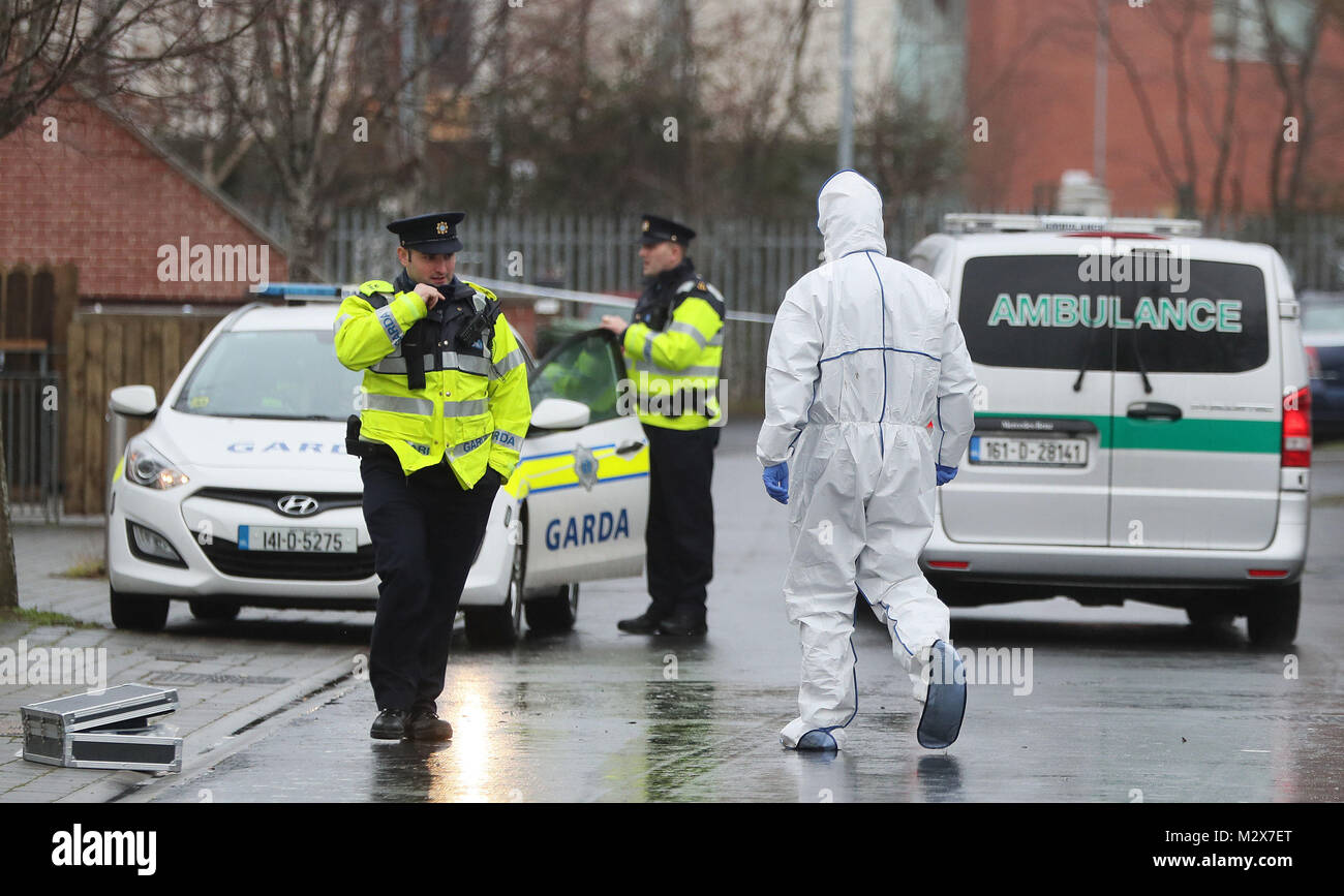 Forensic officers and Garda at the scene in Buirg an Ri Walk, Balgaddy ...