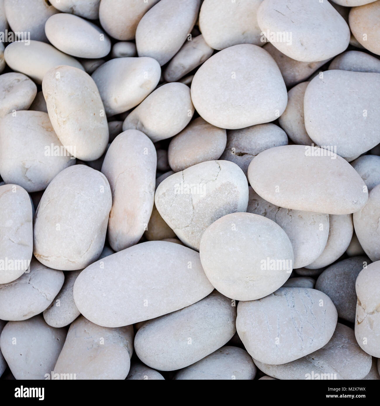White pebbles background - simplicity daylight stones Stock Photo - Alamy