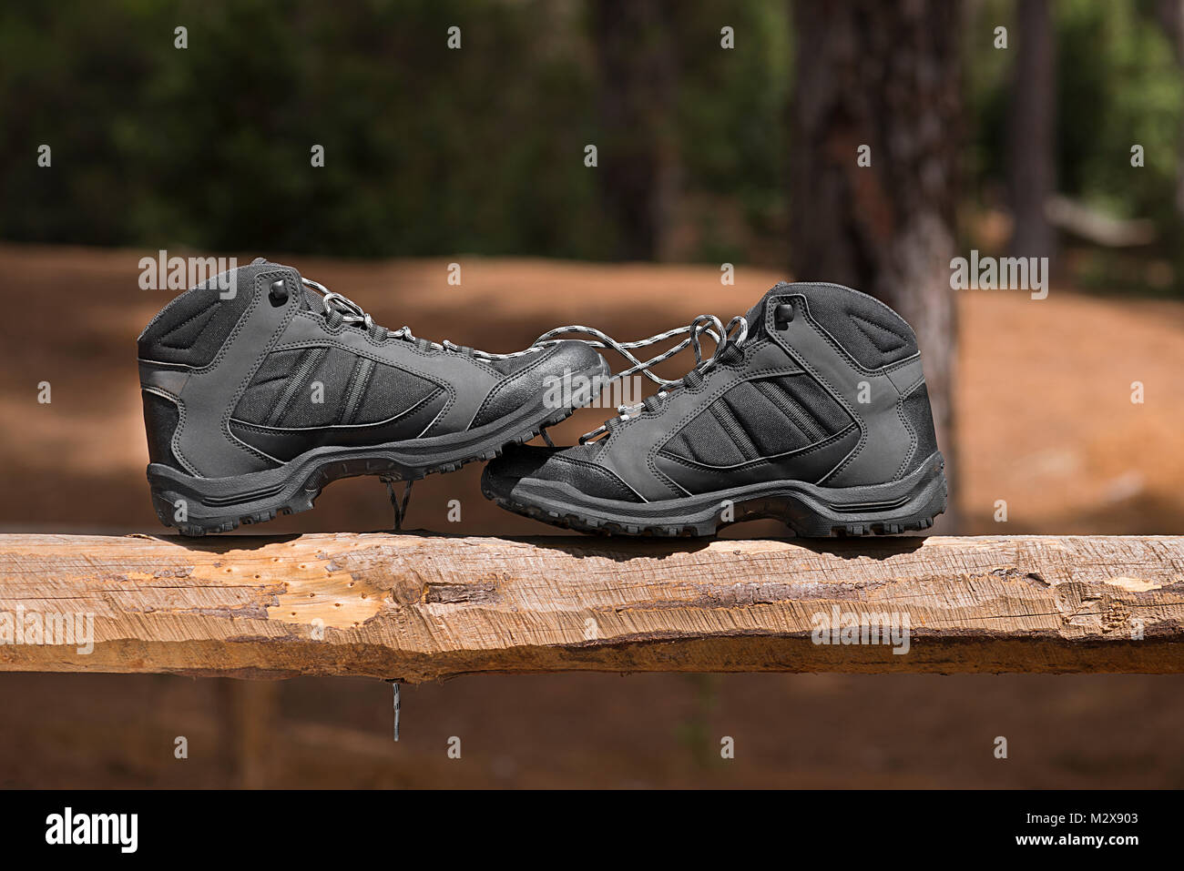 hiking boots in the forest Stock Photo - Alamy