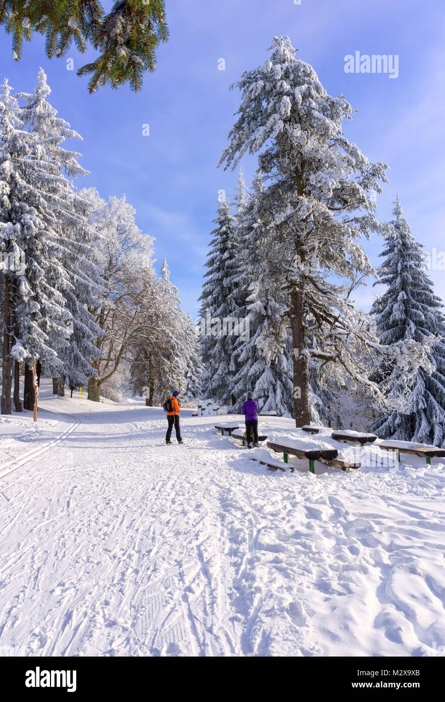 Two women cross country skiers are resting on the route. Tall lonely ...