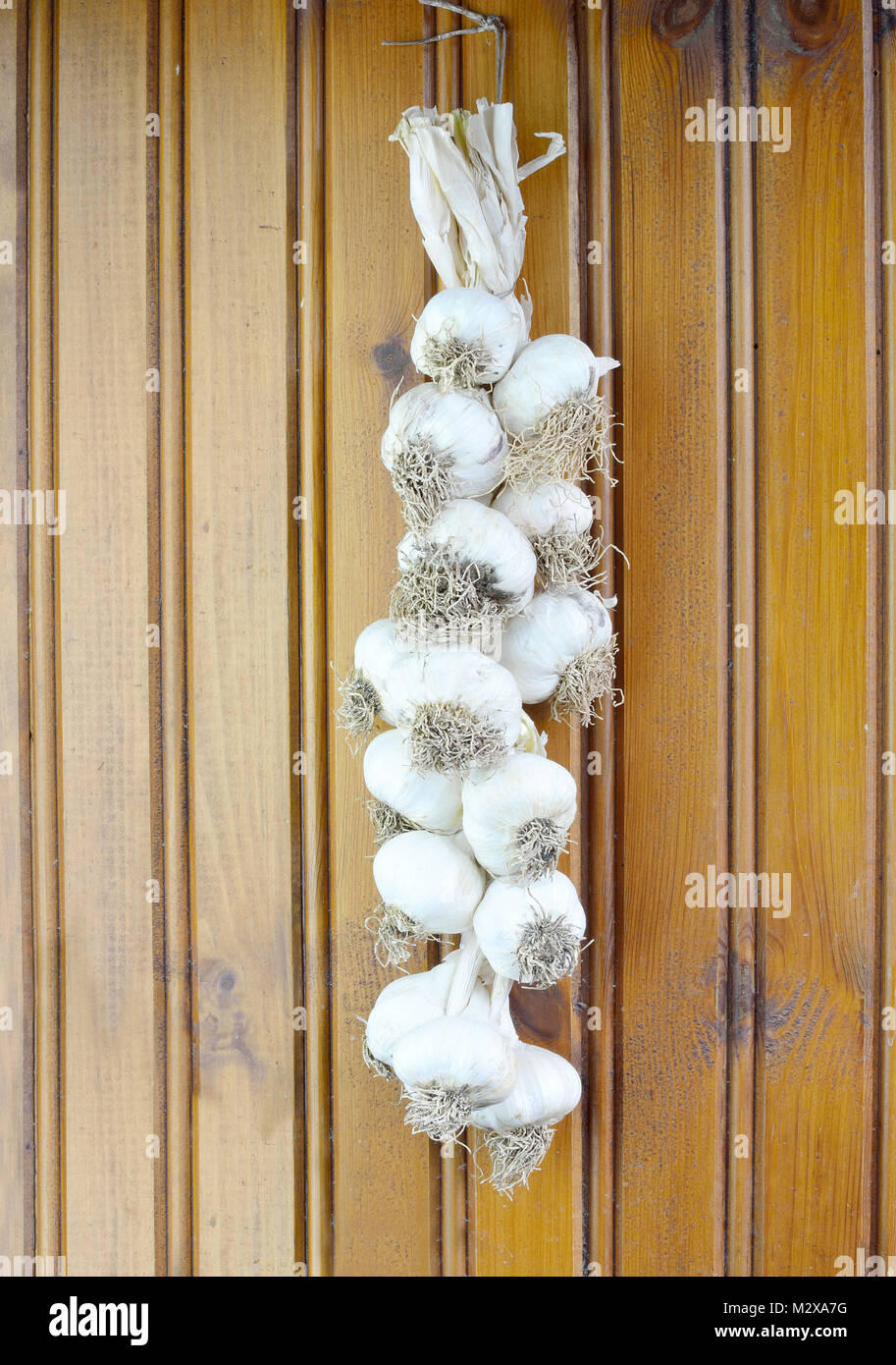 Garlic hanged on wooden wall Stock Photo - Alamy