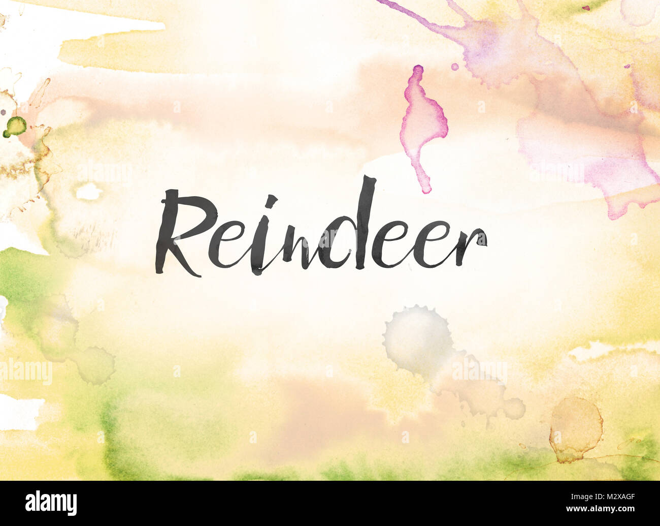 The word Reindeer concept and theme written in black ink on a colorful ...