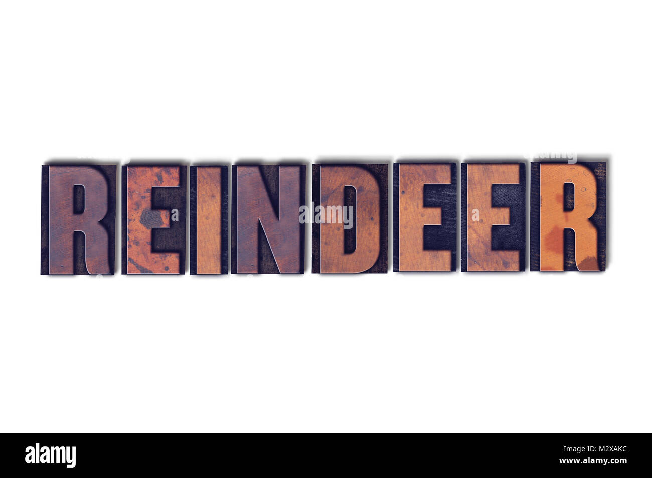 The word Reindeer concept and theme written in vintage wooden ...