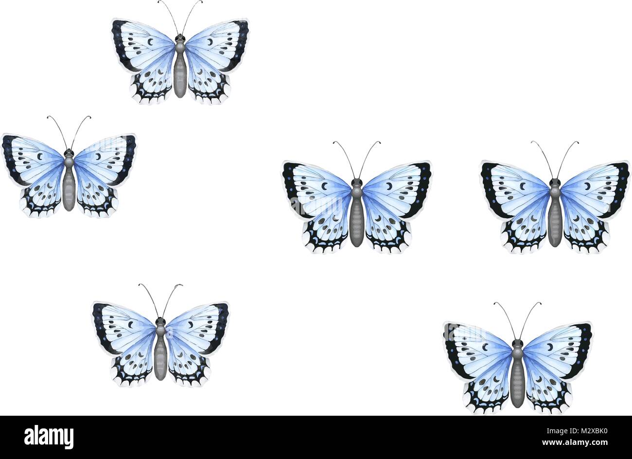 Colorful realistic butterfly isolated on white background. Top view ...