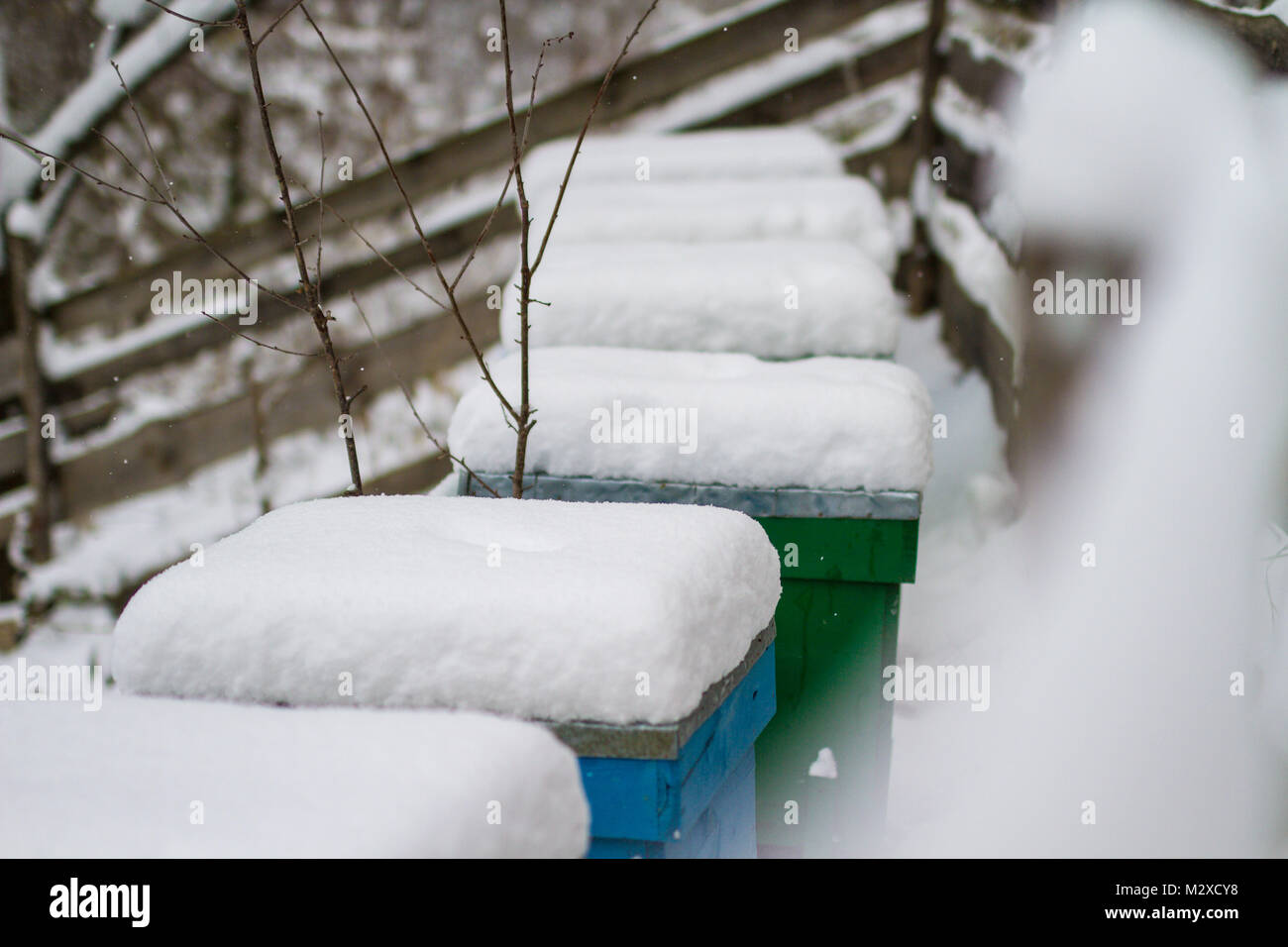 A pair of snow covered bee hives. Apiary in wintertime. Beehives ...